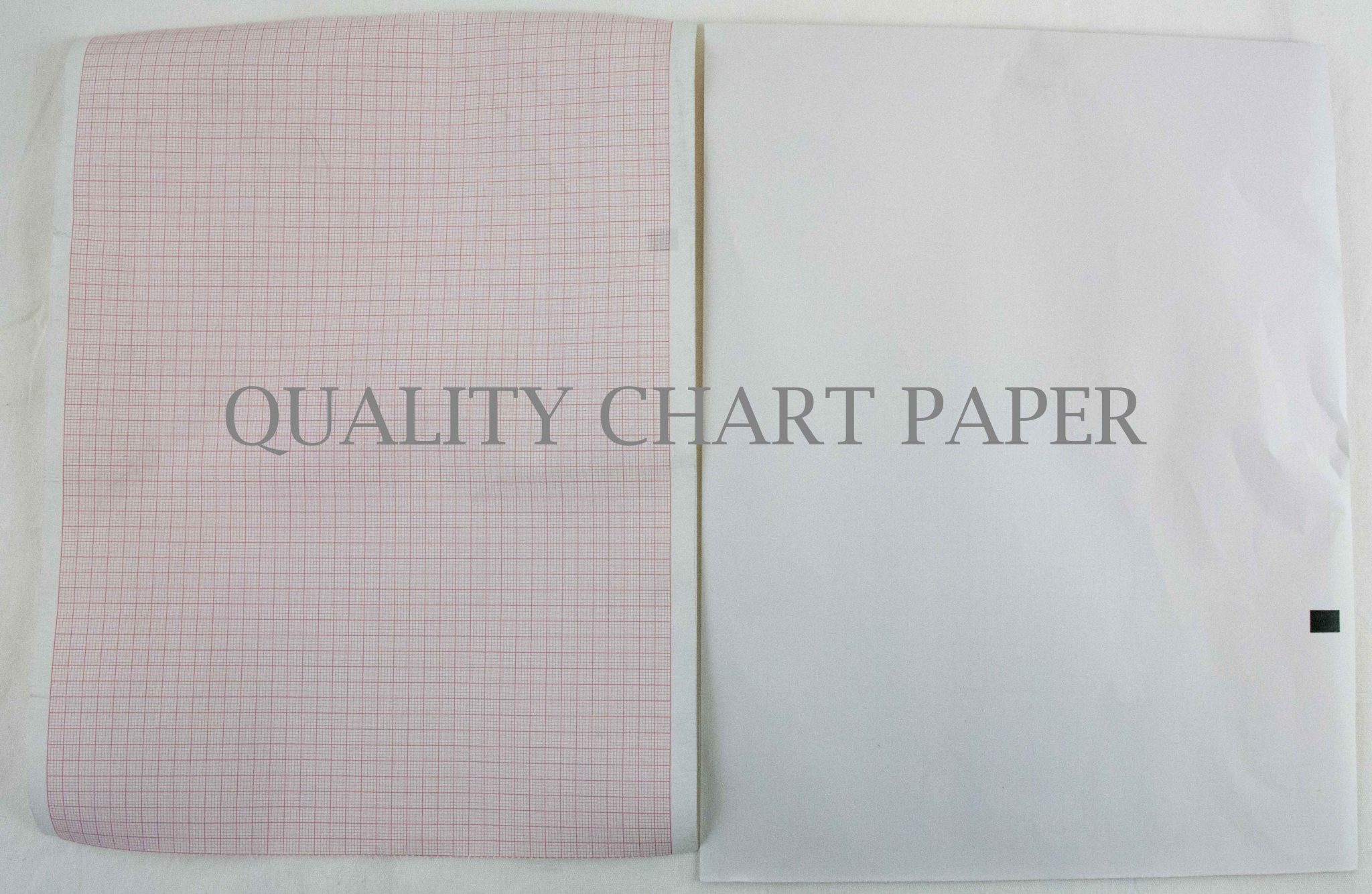 Quinton Q-700 216mm X 280mm - Quality Chart Paper - Your Go to Source ...